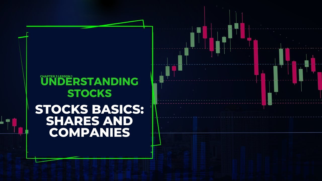 Chapter 3 Lesson 1| Understanding Stocks | Stocks Basics: Shares and Companies | Money Quest