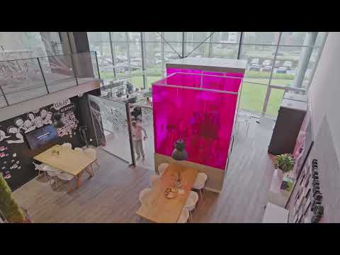 Logitech & Google: Helping Adwise use Gemini (English)