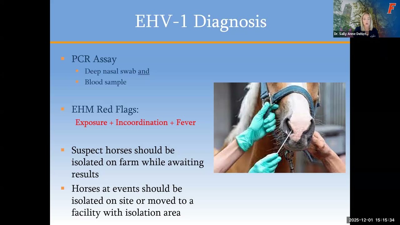 December 2025 US Equestrian Webinar on Equine Herpesvirus (EHV-1) and Biosecurity