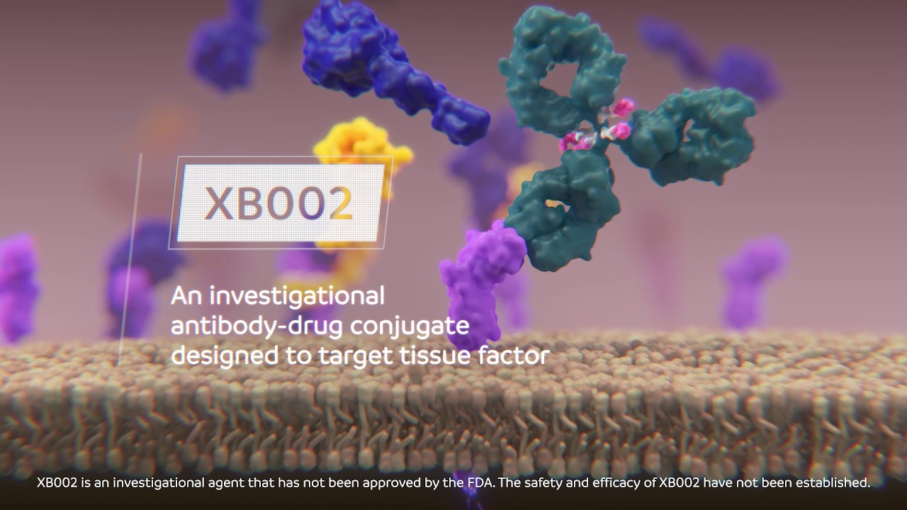3D Medical Animation: Cancer ADC MOA