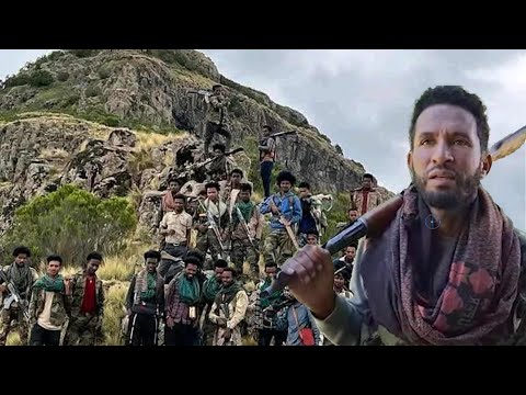 Anchor Media ”ወደ ኋላ አላልንም። ትግሉ በድሎች ታጅቦ ወደፊት ቀጥሏል።”