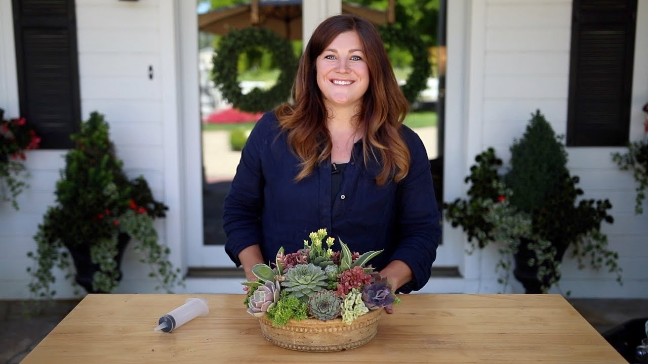How to Create Height in a Succulent Arrangement! 🌱🥰💚// Garden Answer
