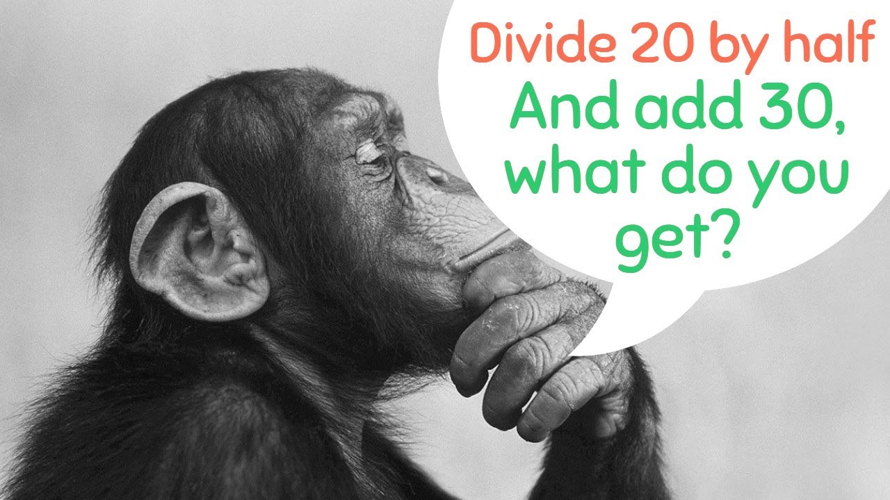 Divide 20 by half and add 30 what do you get? | Riddle 7