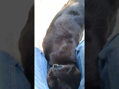 когда один билет на двоих/when one ticket for two
