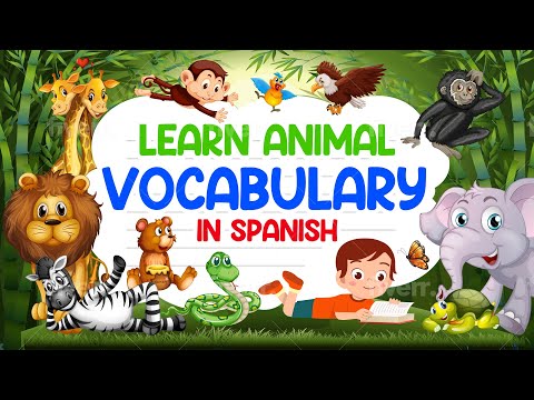 Learn Jungle Animals in Spanish and English | Learn Spanish and English |