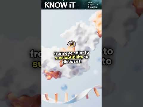 10 Cool Facts About Nucleic Acids | KNOW iT