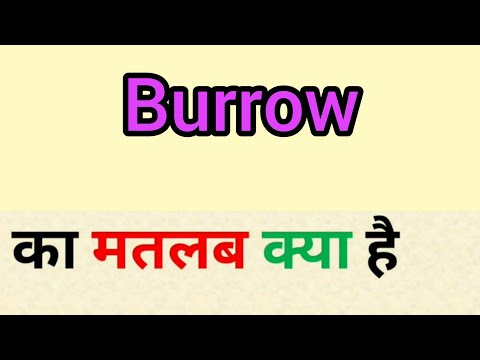 Burrow meaning in hindi | burrow ka matlab kya hota hai | word meaning in hindi
