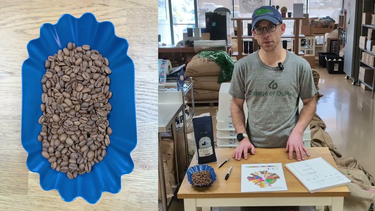 Papua New Guinea Kinmuga - Natural Process Light Roast Single Origin Coffee