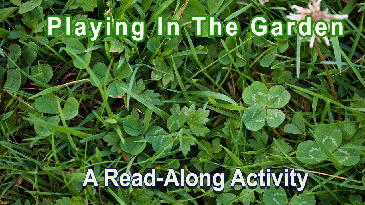 The Teddy Bears Find A Four Leaf Clover: A Children's Story