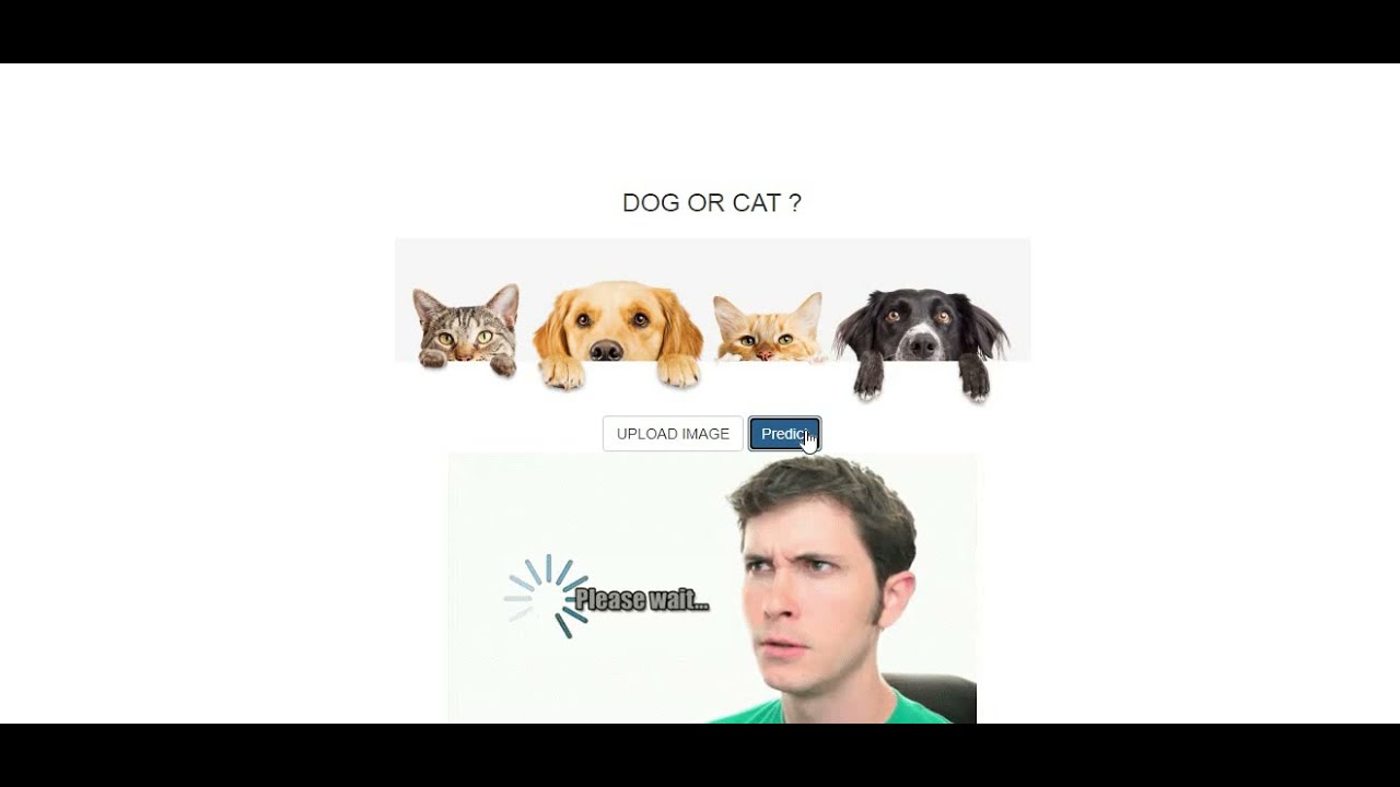 Image classification - Cats Vs Dogs App Code -