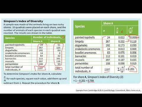 Chapter 18.2: How to Calculate Simpson's Index of Biodiversity