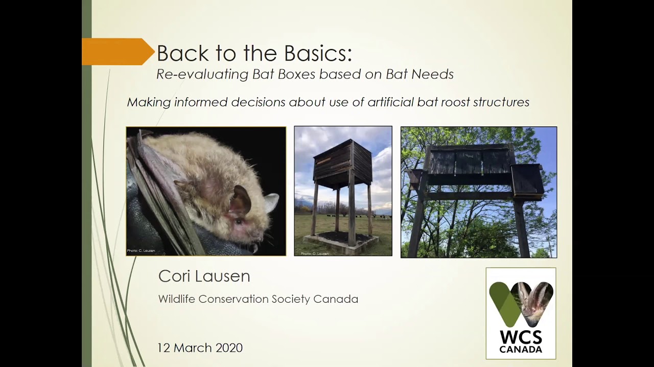 Back to the Basics: Re-evaluating Bat Boxes based on Bat Needs with Cori Lausen