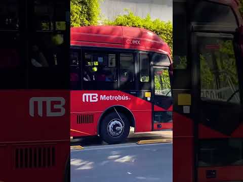 Always hard at work | The MetroBus CDMX in Mexico City | Linea 1 Avenida Insurgentes Sonora Station