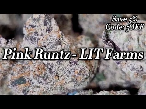 Pink Runtz – LIT Farms THCa Flower Review – The Highest Club