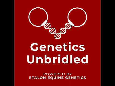 Horse DNA: Genetics Unbridled Trailer