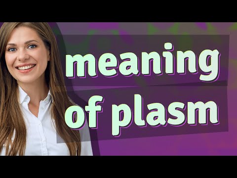 Plasm | meaning of Plasm