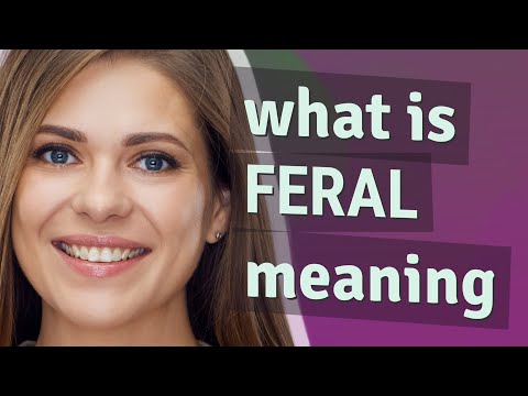 Feral | meaning of Feral