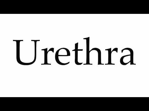 How to Pronounce Urethra