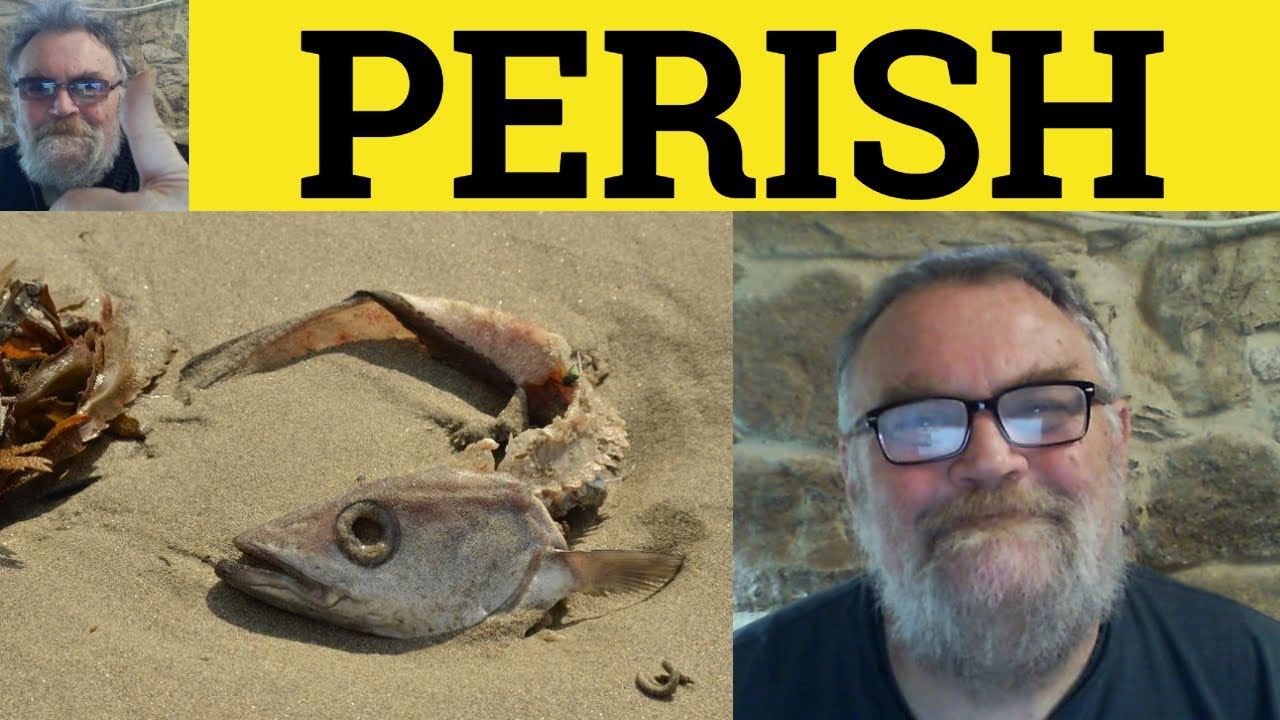 🔵 Perish Meaning - Perishables Examples - Perish the Thought Defined - Perish Perished Perishables