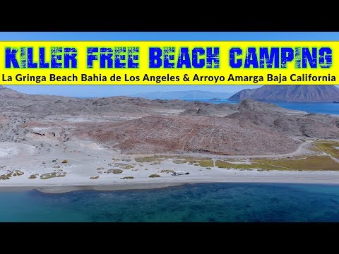 Baja's Free Beach Camping Bonanza | RVing Baja MX Part #27 | The Motorhome Experiment