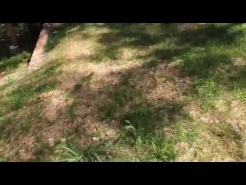 Elk Springs Resort (Urban Cowboy Cabin) Video#2