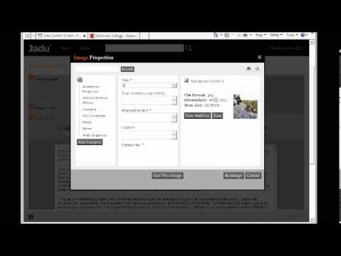 Jadu - Insert image in text area
