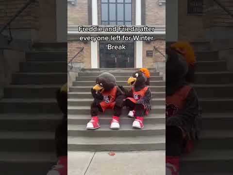 BG is lonely without you, Falcons #BGSU #College #Mascots #Ohio #Students #College #shorts