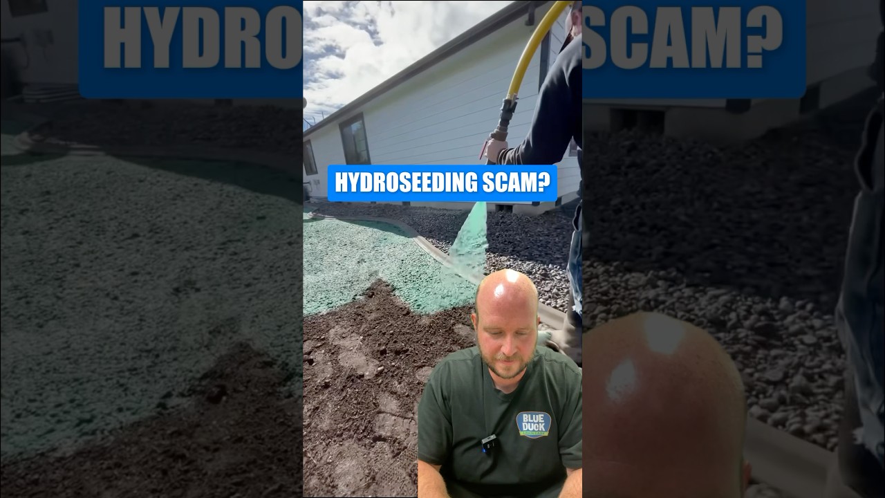 Hydroseeding Explained | Is It Worth the Hype? #shorts