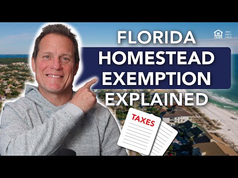 Florida Homestead Exemption 2024 - Everything You Need To Know About