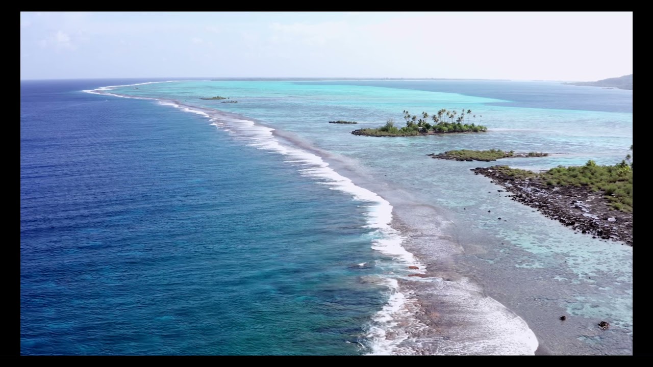 Taha’a: le Jardin de corail