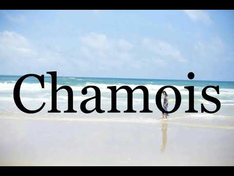 How To Pronounce Chamois🌈🌈🌈🌈🌈🌈Pronunciation Of Chamois