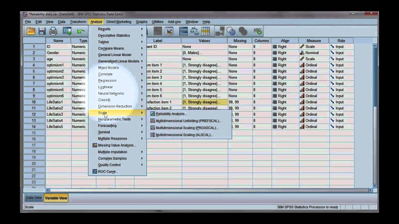 Reliability test: Compute Cronbach's alpha using SPSS