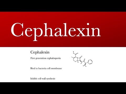 Cephalexin (Keflex): keflex antibiotic | cephalexin capsules and cephalexin uses