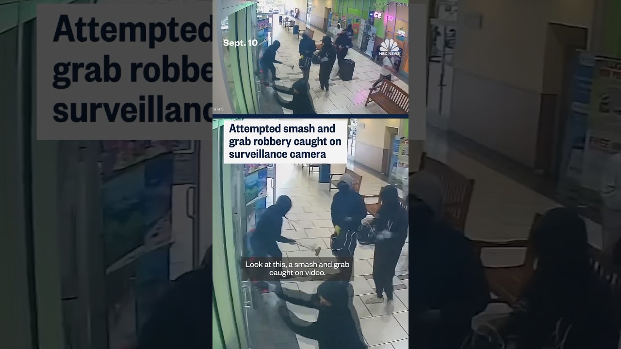 Attempted smash and grab robbery caught on surveillance camera
