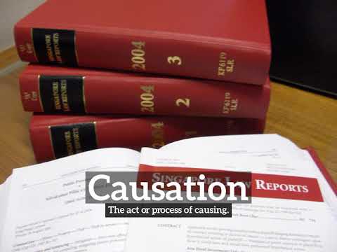 How to Say Causation in English? | How Does Causation Look? | What is Causation?