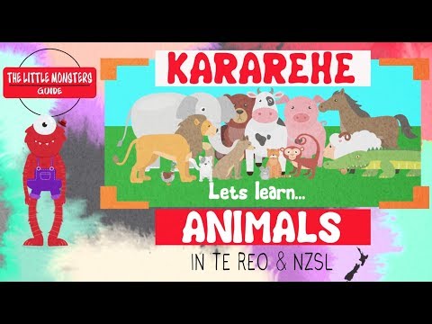 ANIMALS in Te Reo and NZSL (with sounds) for kids