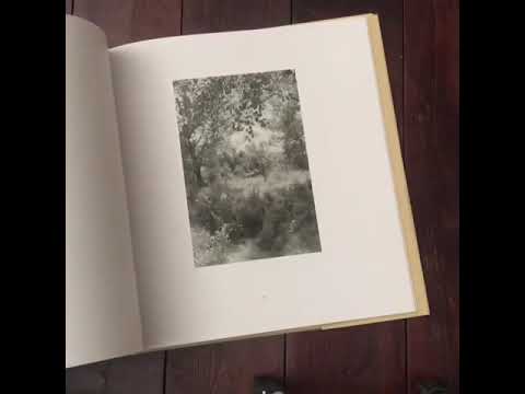 Pine Valley (signed) by Robert Adams