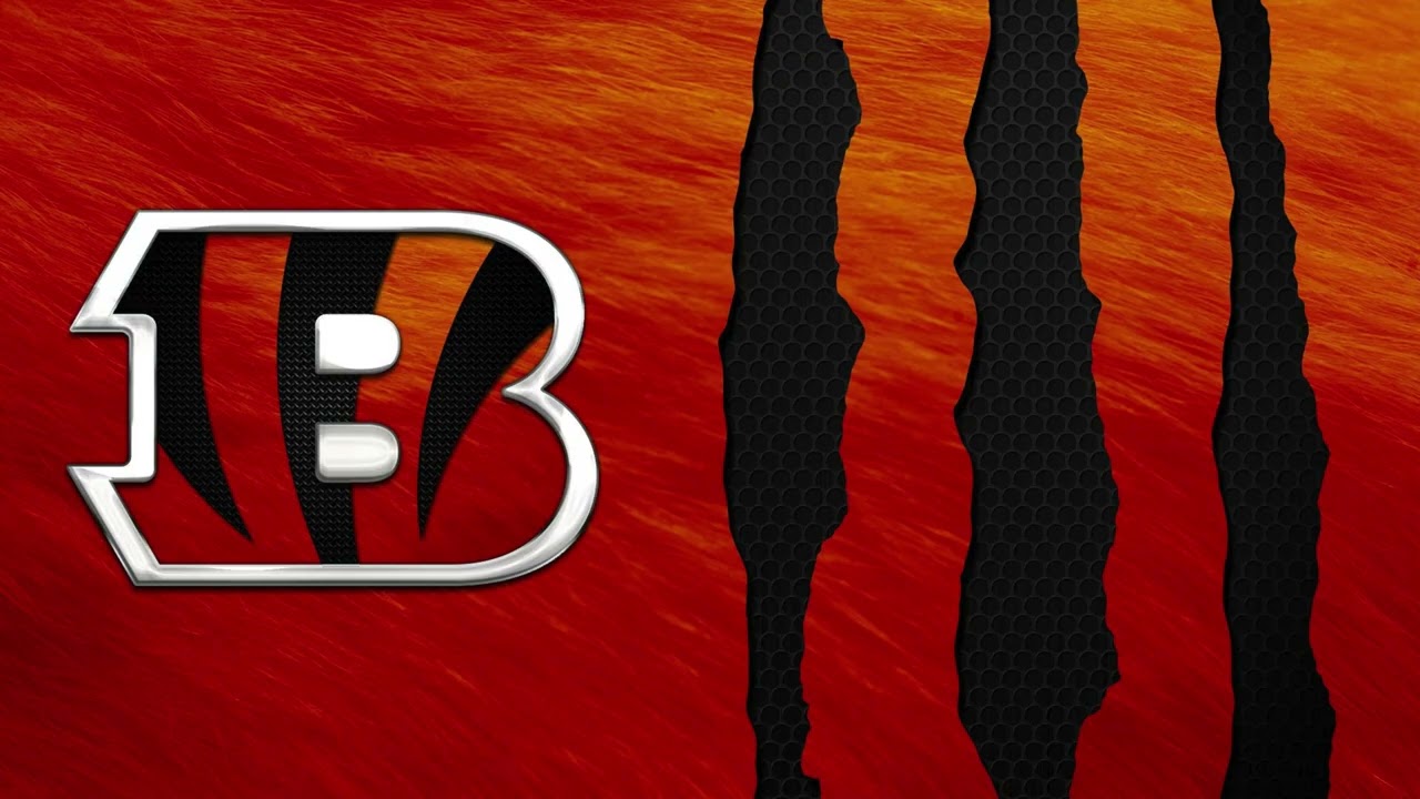 Cinncinatti Bengals - Screensaver / Wallpaper - 10 Hours - 4K UHD
