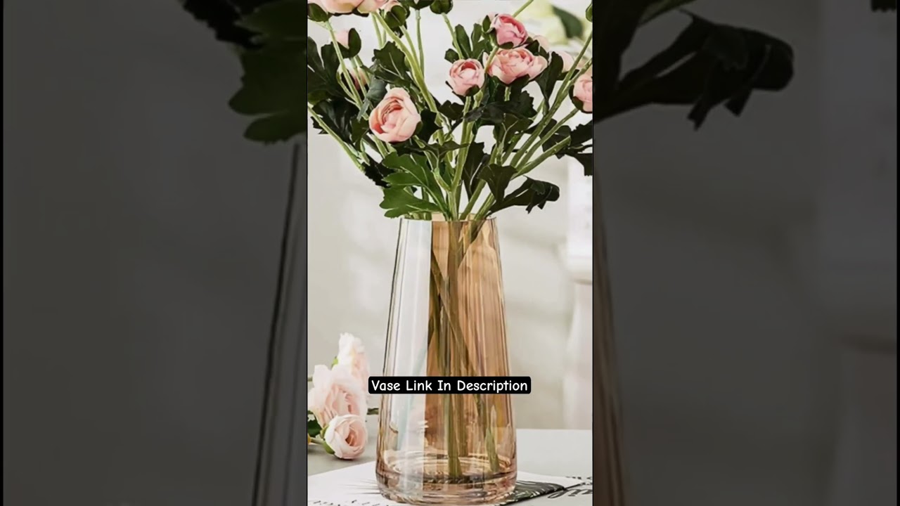 Decorative Glass Vase for Flowers Plants Home Decor Office Living Table Decorations Vases Aesthetic