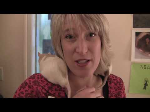 How To Care for Your Pet Rat Part 2 Video: Expert Pet Rat Facts by Laurie Routhier