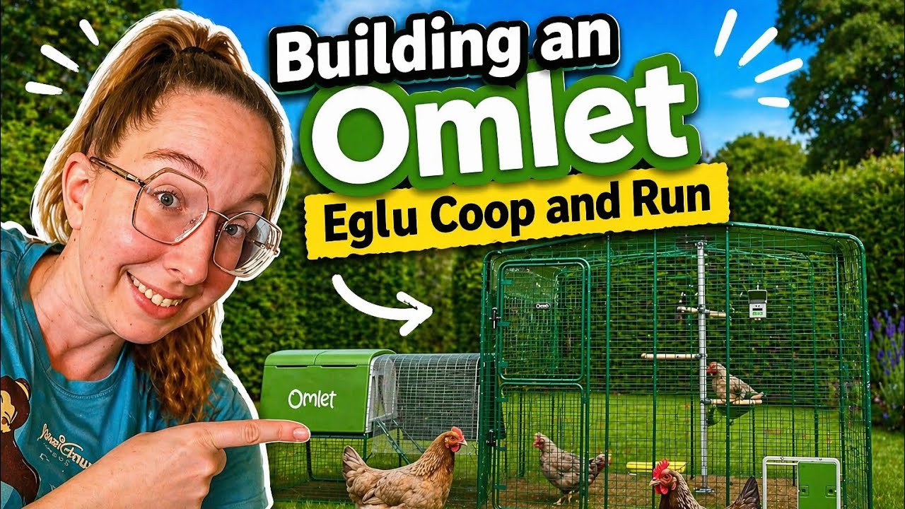 Building an Omlet Eglu Cube with Walk In Chicken Run - Chicken Coop Build 