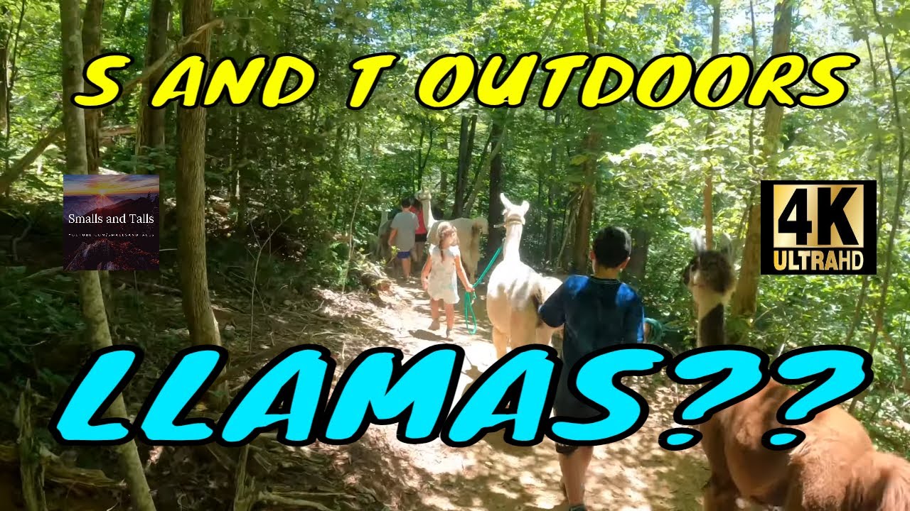 HIKING WITH LLAMAS | GREAT SMOKEY MOUNTAIN LLAMA TREK
