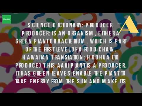 What Is The Definition Of Producer In Science?