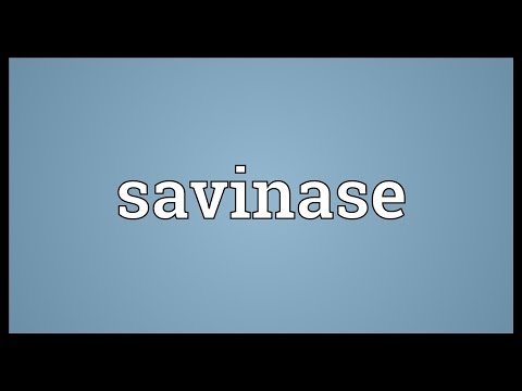 Food Enzymes - Food Enzymes Powder Latest Price, Manufacturers & Suppliers