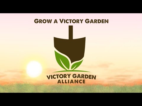 The Victory Garden Movement : Then, Now, and the Future of a Healthier ...