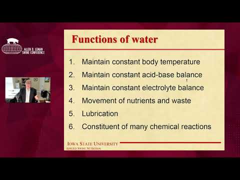Nutrition Workshop: Water, What You Should Know About the Forgotten Nutrient