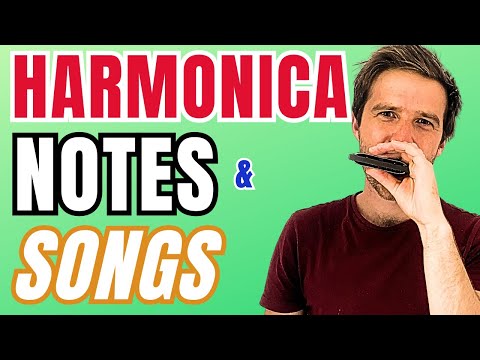 Harmonica Notes - What Are They & How to Play Them? | Beginner Harmonica Lesson
