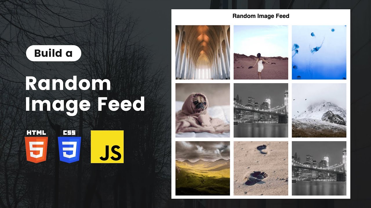 Random Image Feed Using HTML CSS and JavaScript | HTML CSS JavaScript Project