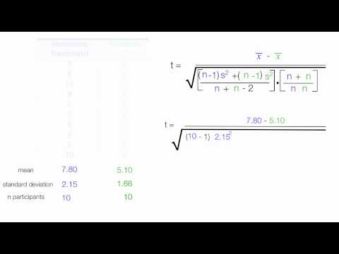 How to calculate t statistics of different groups for statistics class