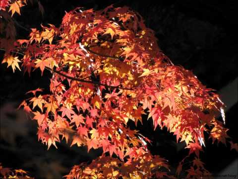 秋艶 Incredible Japan - Autumn Leaves I - 紅葉 (Koyo)